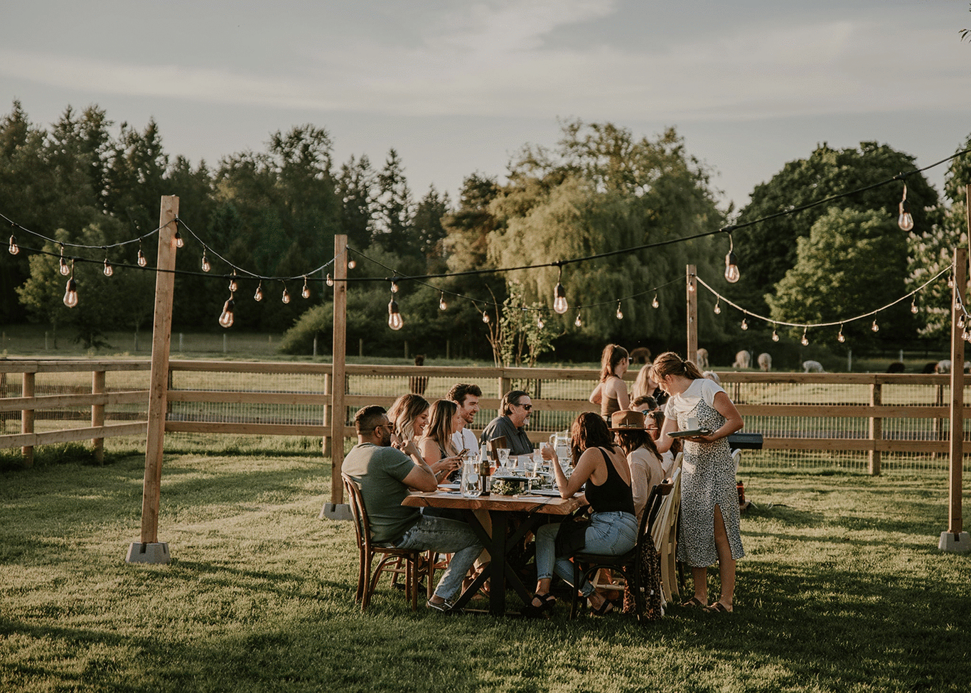 Tickets & Events – Kensington Prairie Farm Ltd.