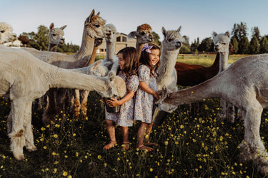 Visiting The Farm – Kensington Prairie Farm Ltd.