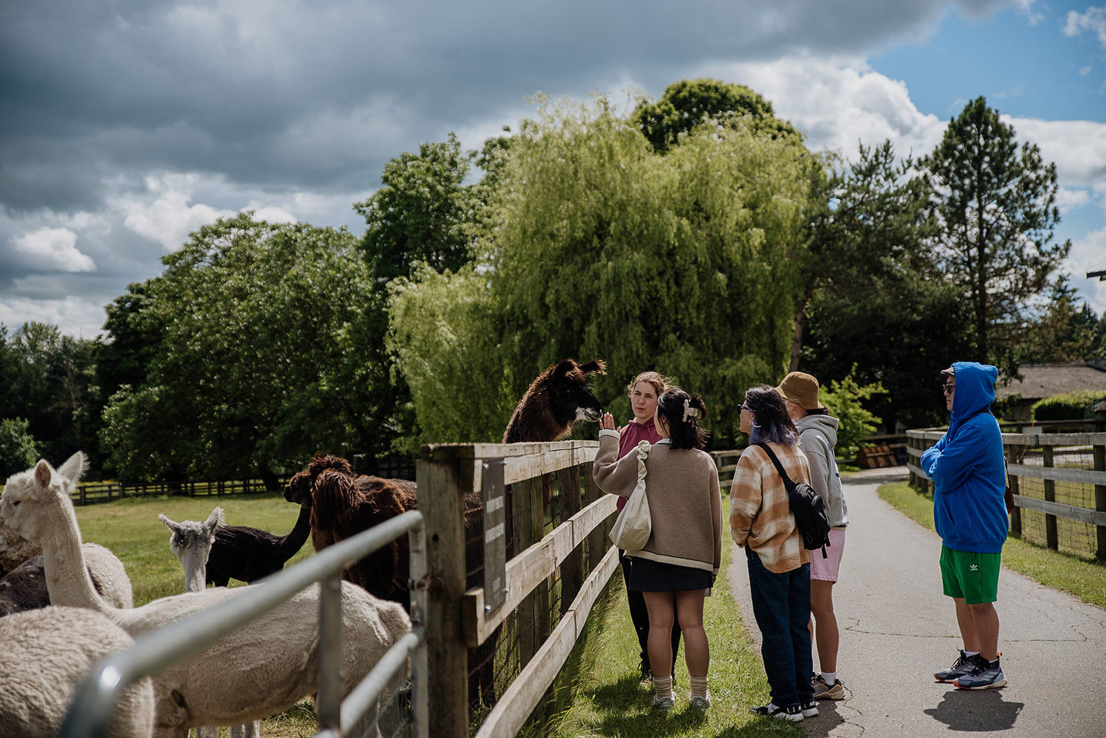 Public Farm Tours – Kensington Prairie Farm Ltd.
